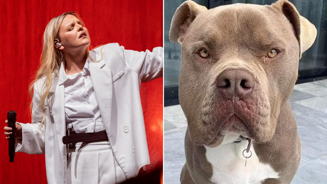 Australian Singer Tones and I Fined After Fatal Dog Attack - Fair Go News